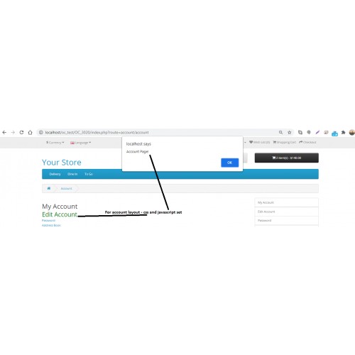 Opencart Custom Css And Javascript Route And Store Base